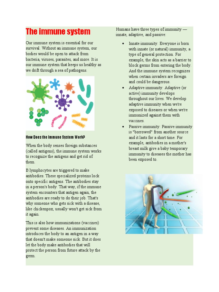 How Does The Immune System Work? | PDF | Adaptive Immune System ...