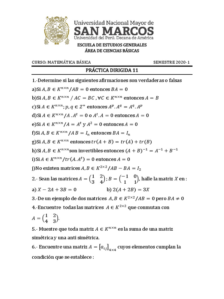 M.B. Practica Dirigida 11 | PDF | Matriz (Matemáticas) | Álgebra