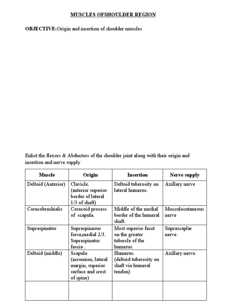 Shoulder Muscle Testing Guide | PDF | Shoulder | Arm