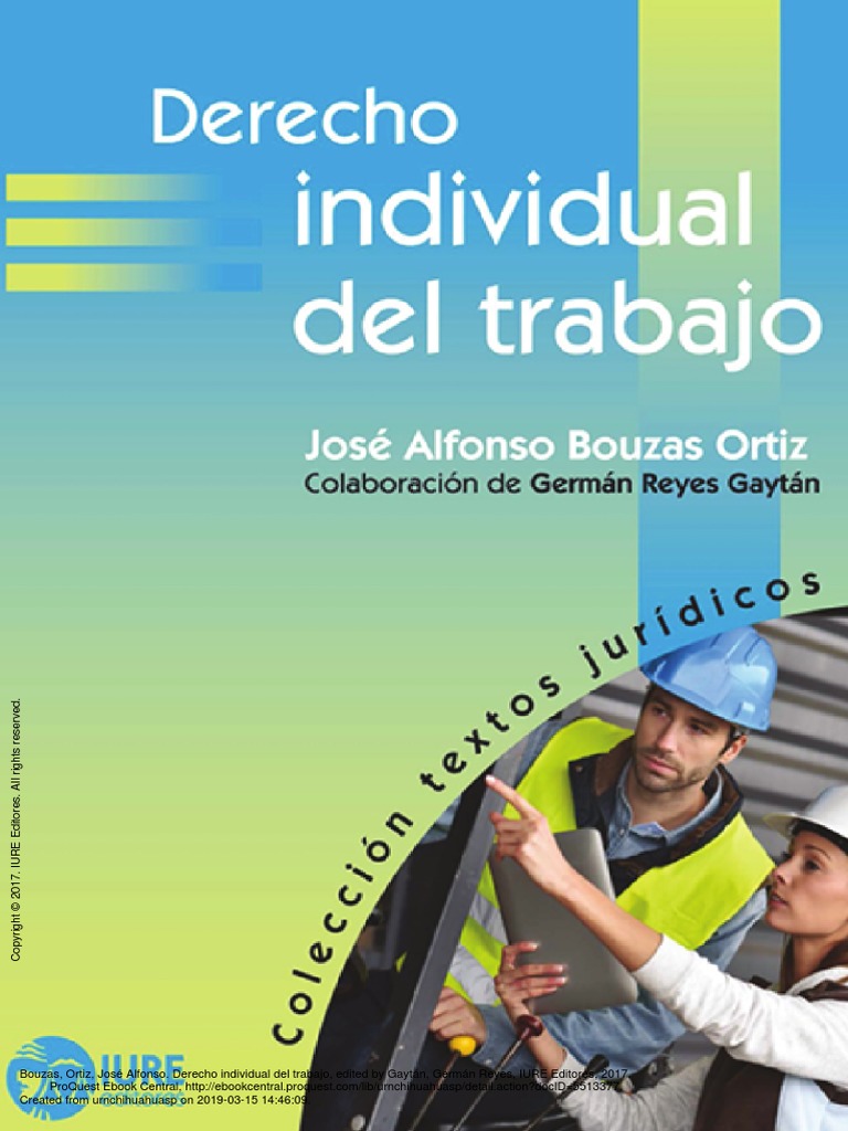 Derecho Individual Del Trabajo PDF | PDF