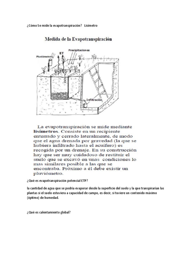 Preguntas Hidro | PDF | Ciencias sociales | Hogar, jardinería y bricolaje