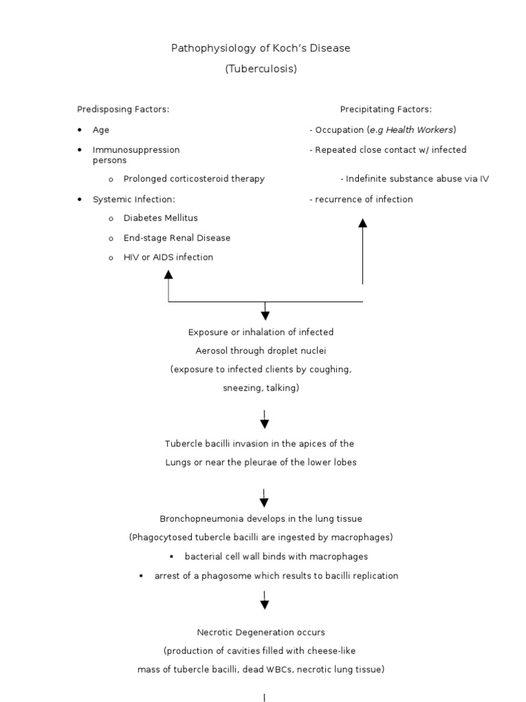 Pathophysiology of Tuberculosis 02 | PDF | Tuberculosis | Infection