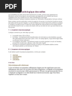 2 - Examens Parasitologique Des Selles | PDF