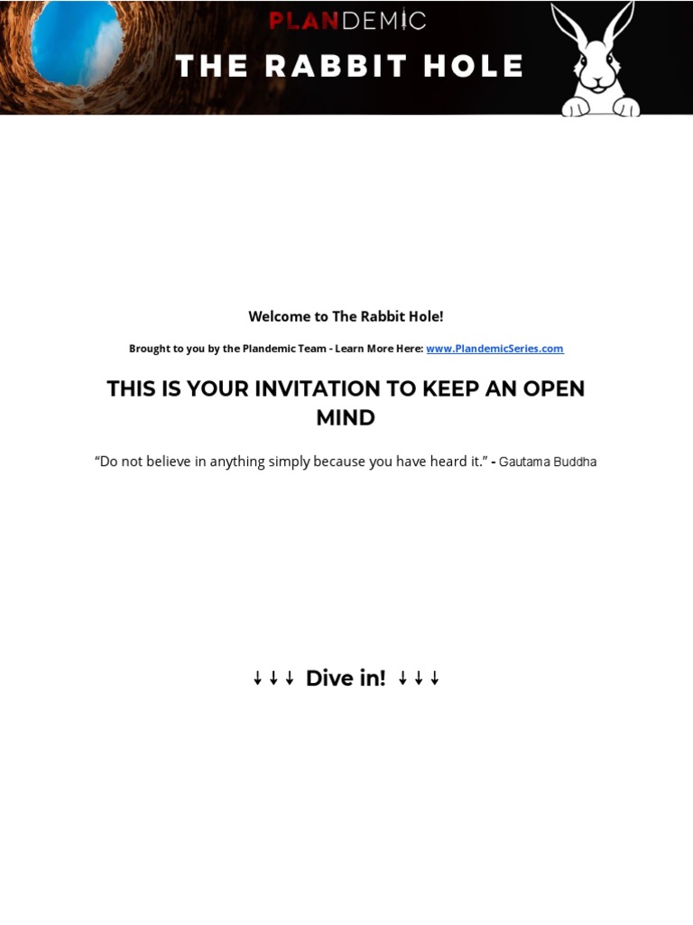 Plandemic THE RABBIT HOLE | PDF | Infection | Influenza