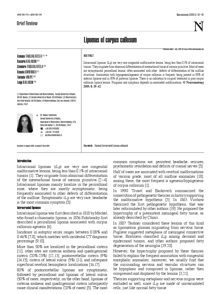 Lipom Corp Calos | PDF | Central Nervous System | Nervous System