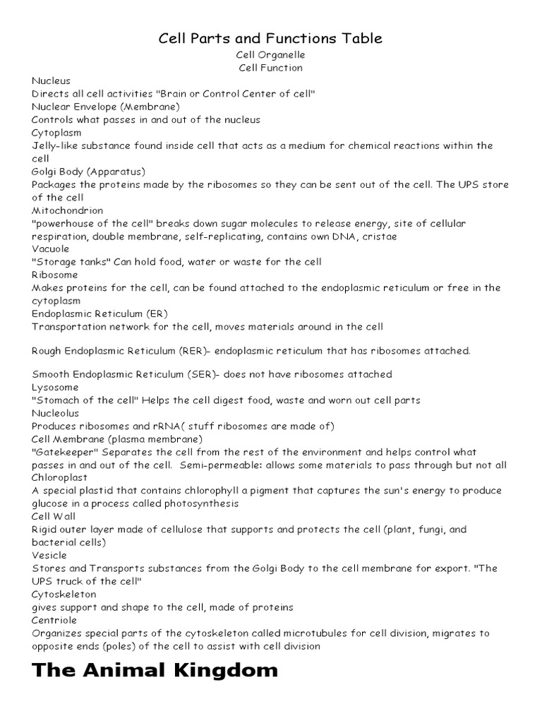 Cell and Plant Parts Overview | PDF | Human Body | Axon