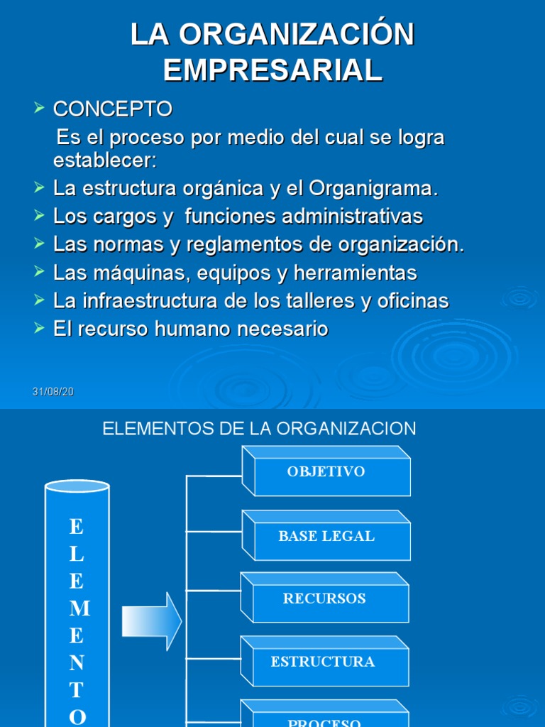 La Organizacion Empresarial | PDF | Derecho laboral | Division de trabajo