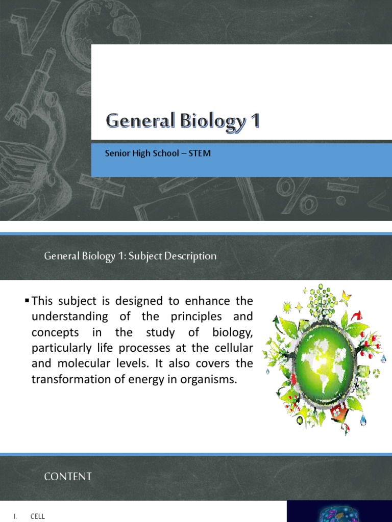 Senior High School - STEM | PDF | Chloroplast | Endoplasmic Reticulum
