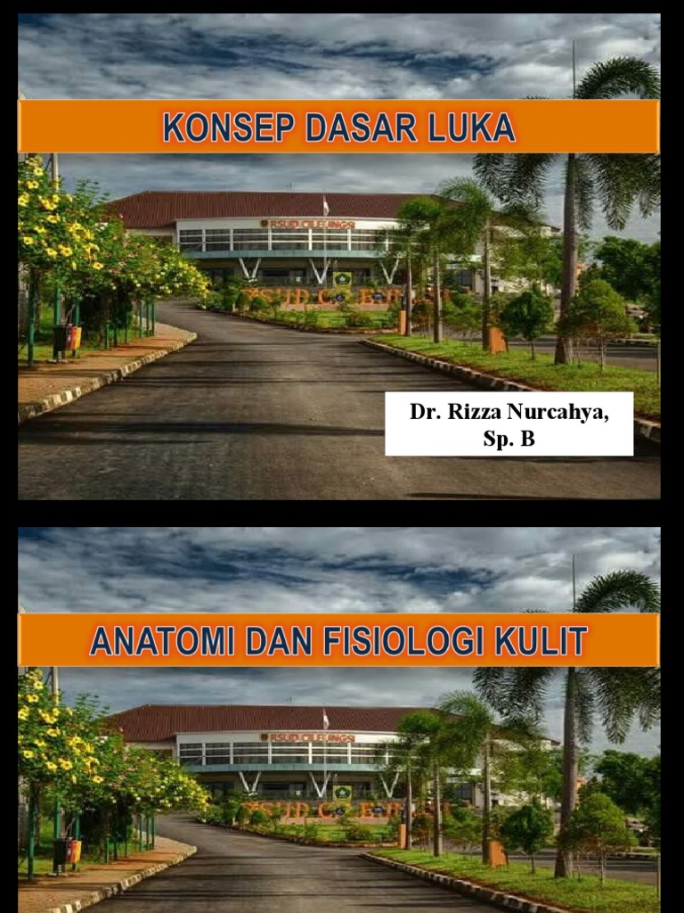 Konsep Dasar Luka | PDF