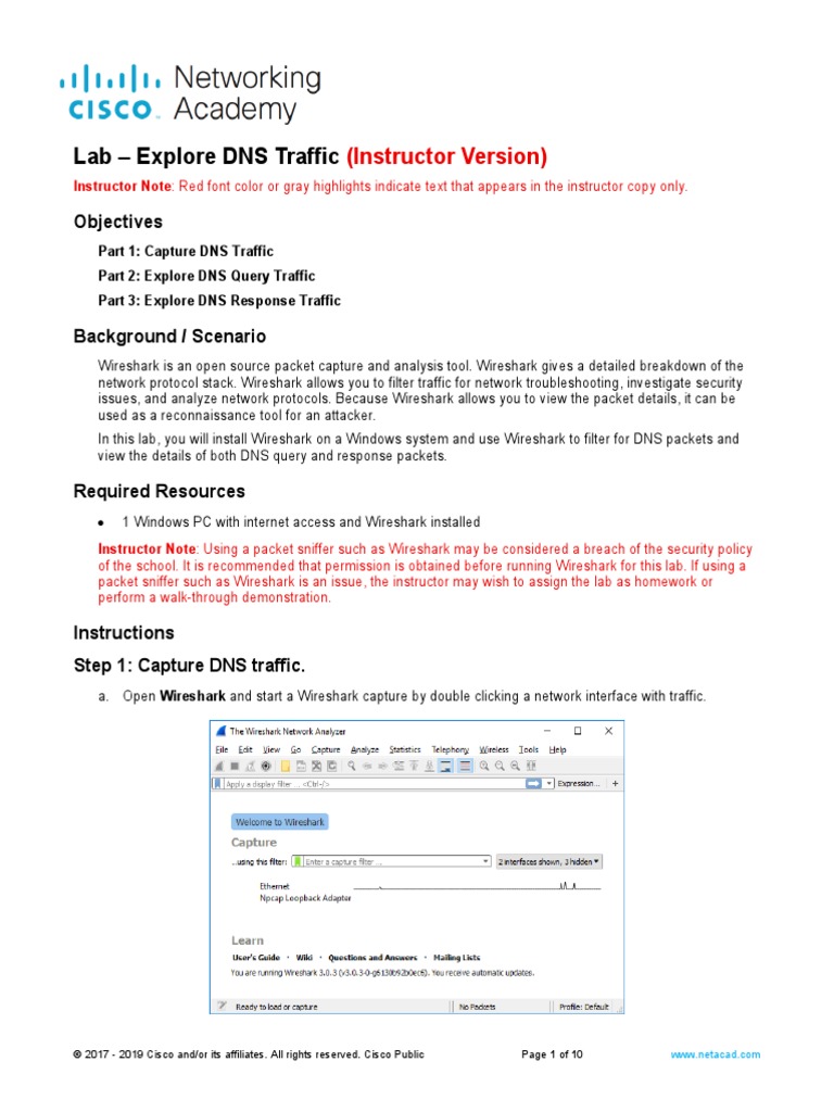 3.8.8 Lab - Explore DNS Traffic - ILM | PDF | Ip Address | Domain Name System