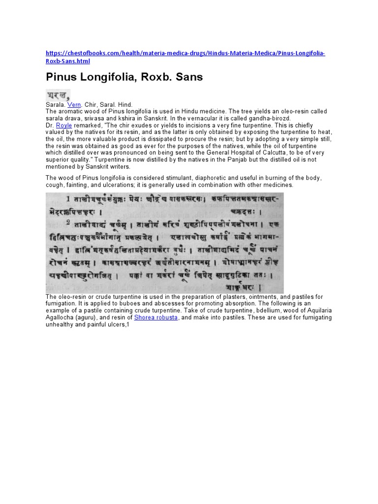 Pinus Longifolia, Roxb. Sans | PDF