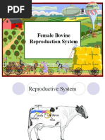 Goat and Sheep Reproductive System | PDF | Reproductive System ...