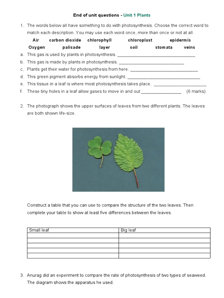 Science End of Unit Questions Grade 8 | PDF