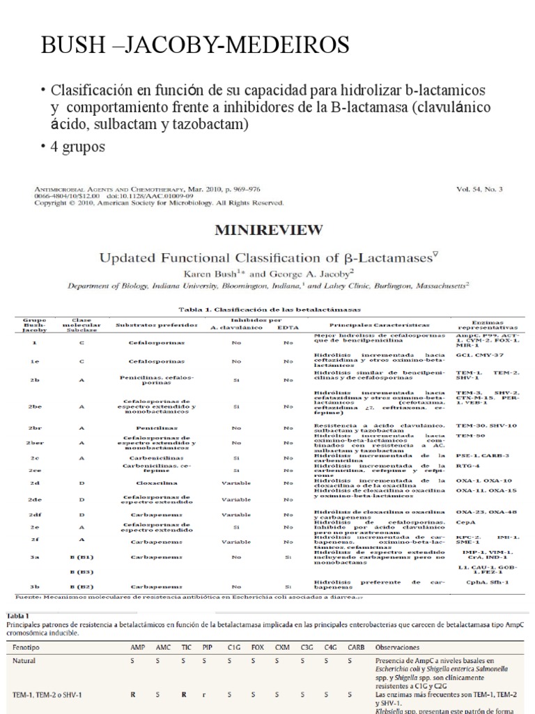 Bush - Jacoby-Medeiros | PDF