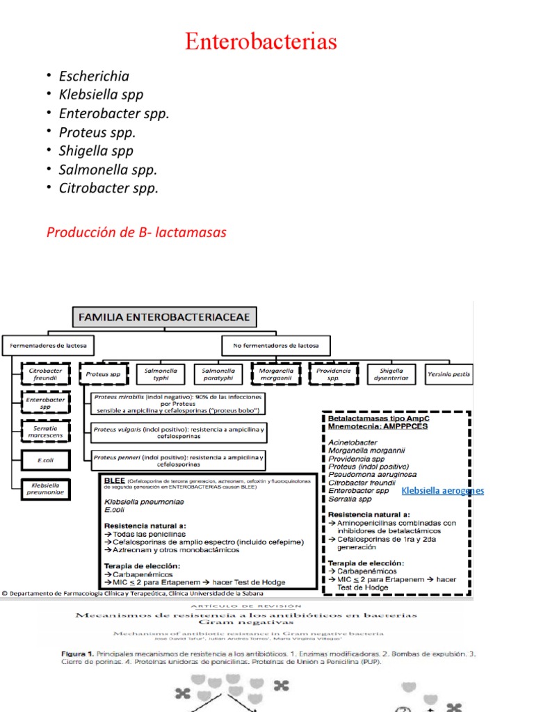Enterobacterias | PDF