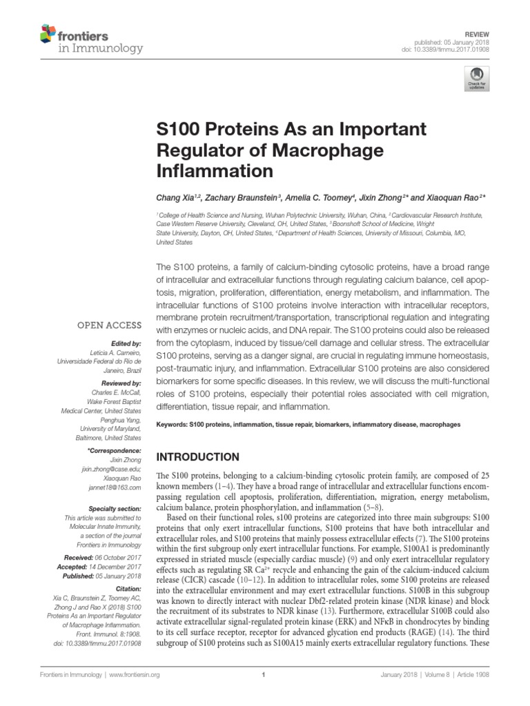 S100 Proteins As An Important Regulator of Macrophage Inflammation ...