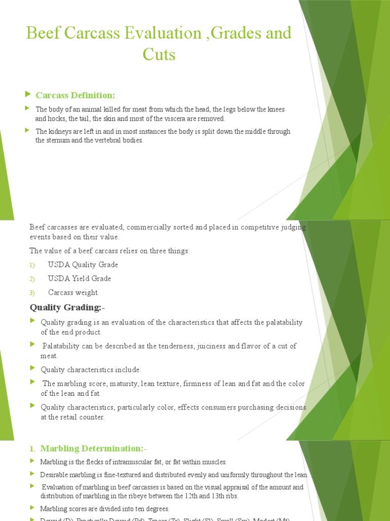 Beef Carcass Evaluation and Grading Guide | PDF | Anatomy ...