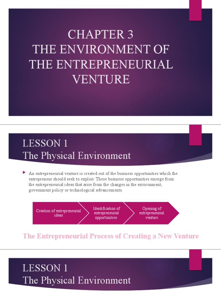 The Environment of The Entrepreneurial Venture | PDF | Entrepreneurship ...