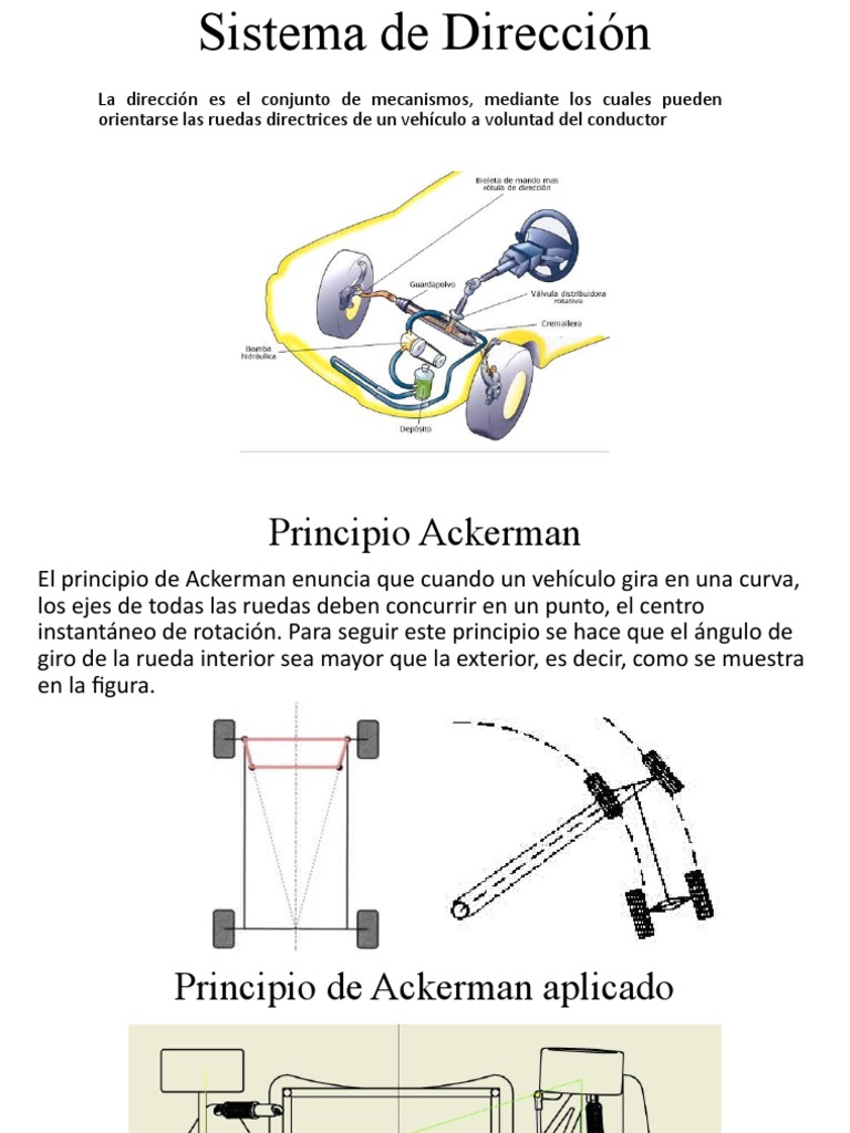 Ackerman | PDF