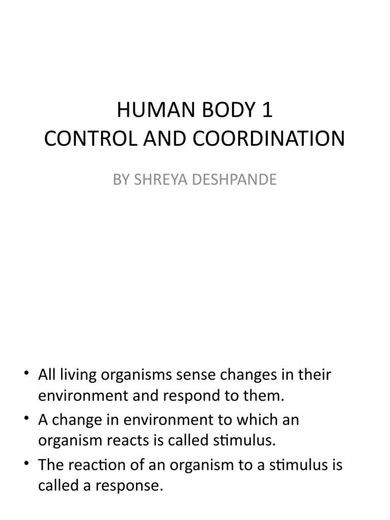 Human Body 1 Control and Coordination: by Shreya Deshpande | PDF | Self ...