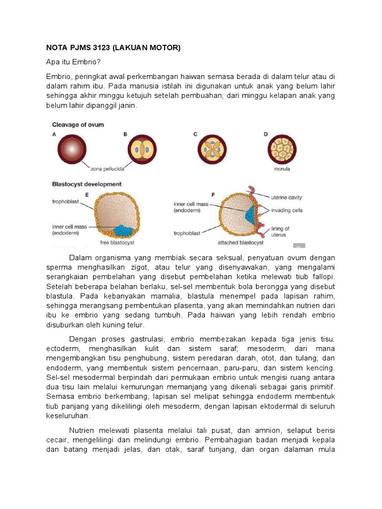 Tutorial PJMS 3123 (Embrio) | PDF | Sains & Matematika