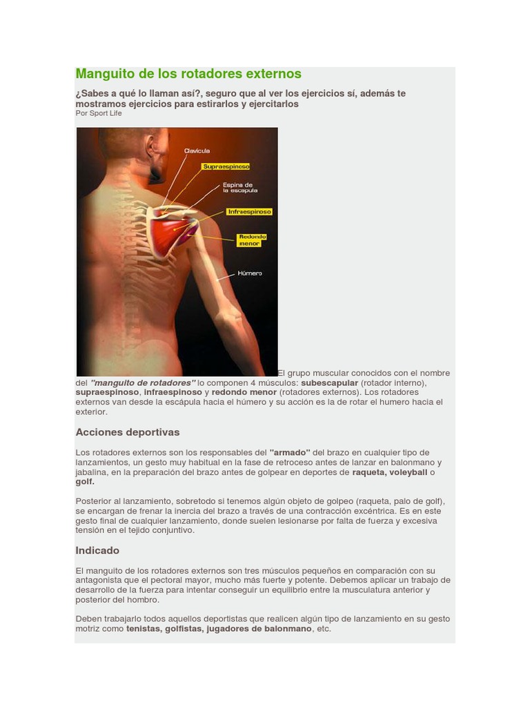 1 - Manguito de Los Rotadores Externos | PDF | Hombro | Sistema ...