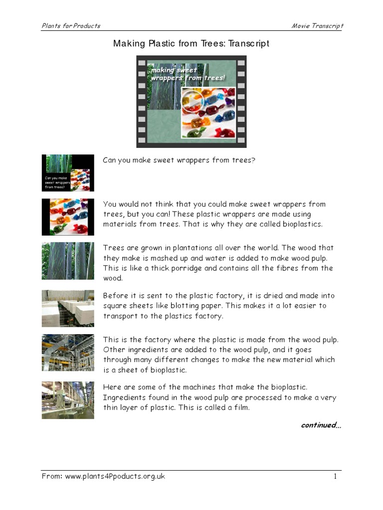 Making Plastic From Trees | PDF | Trees | Paper