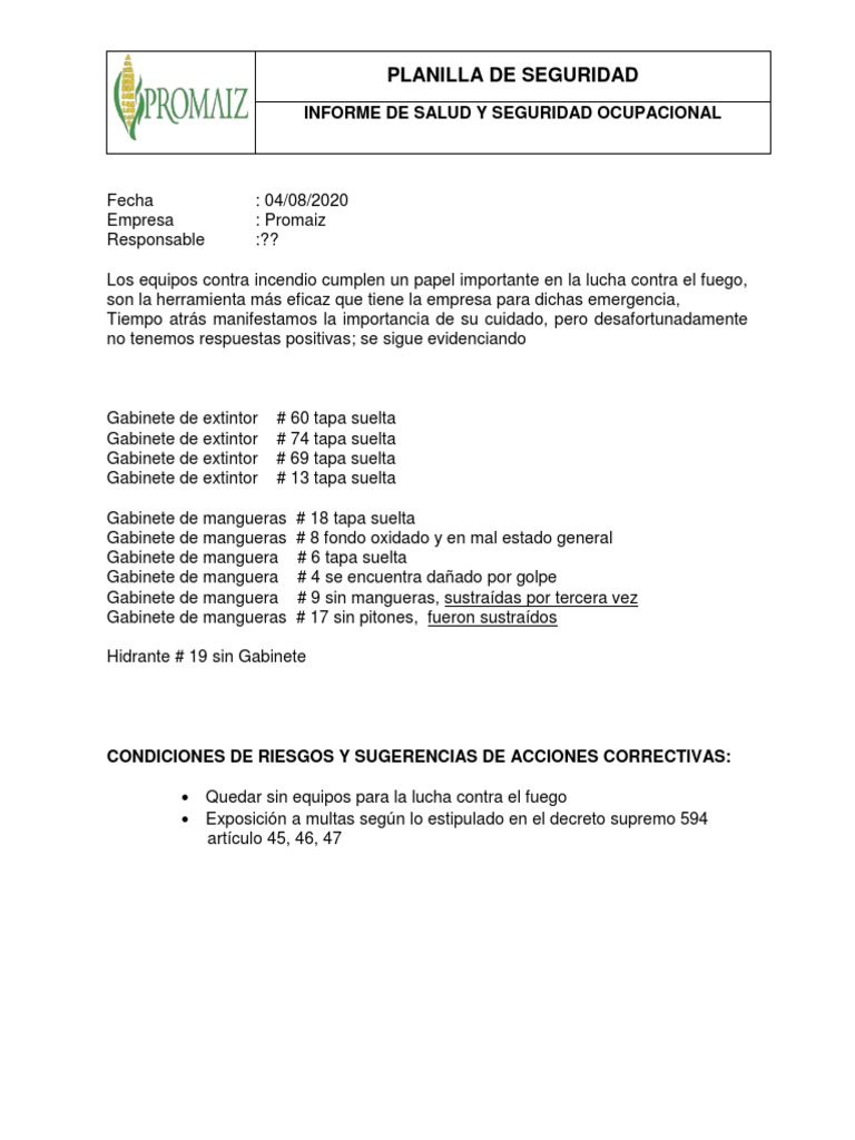 Informe de Seguridad y Salud Ocupacional Formato | PDF