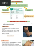 Reflejo Cremasterico | PDF