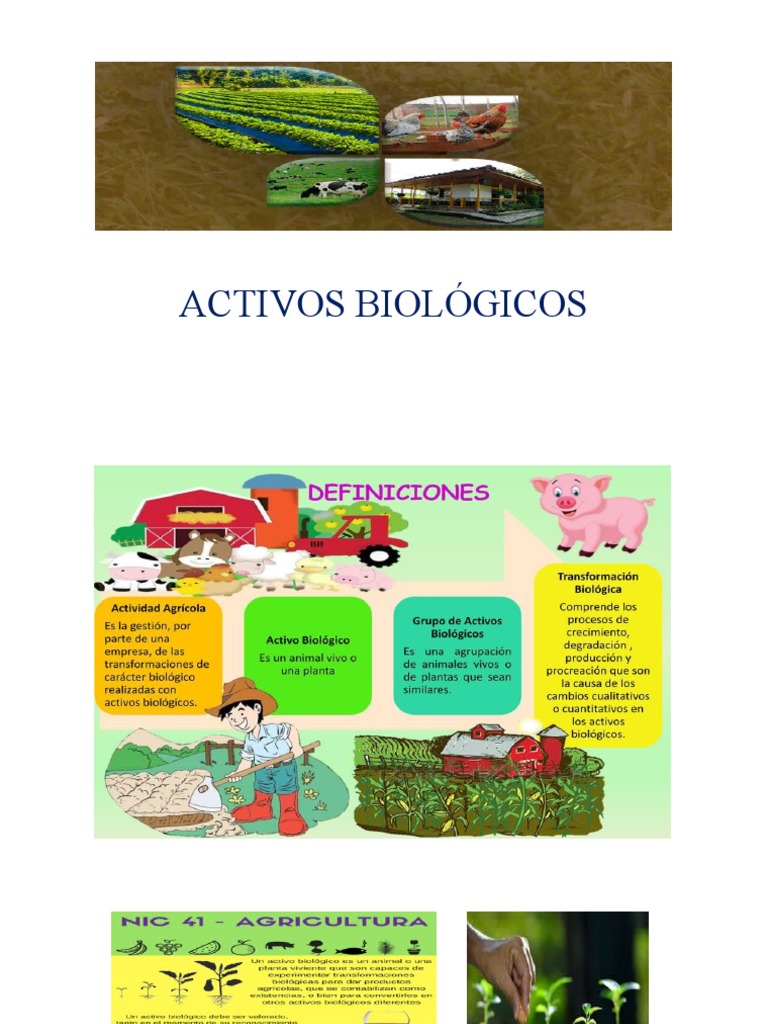 Activos Biológicos | PDF | Activo fijo | Depreciación