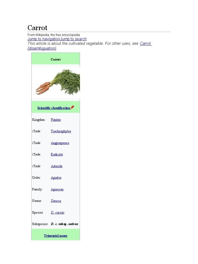 Carrot: Jump To Navigation Jump To Search | PDF | Carrot | Flowers