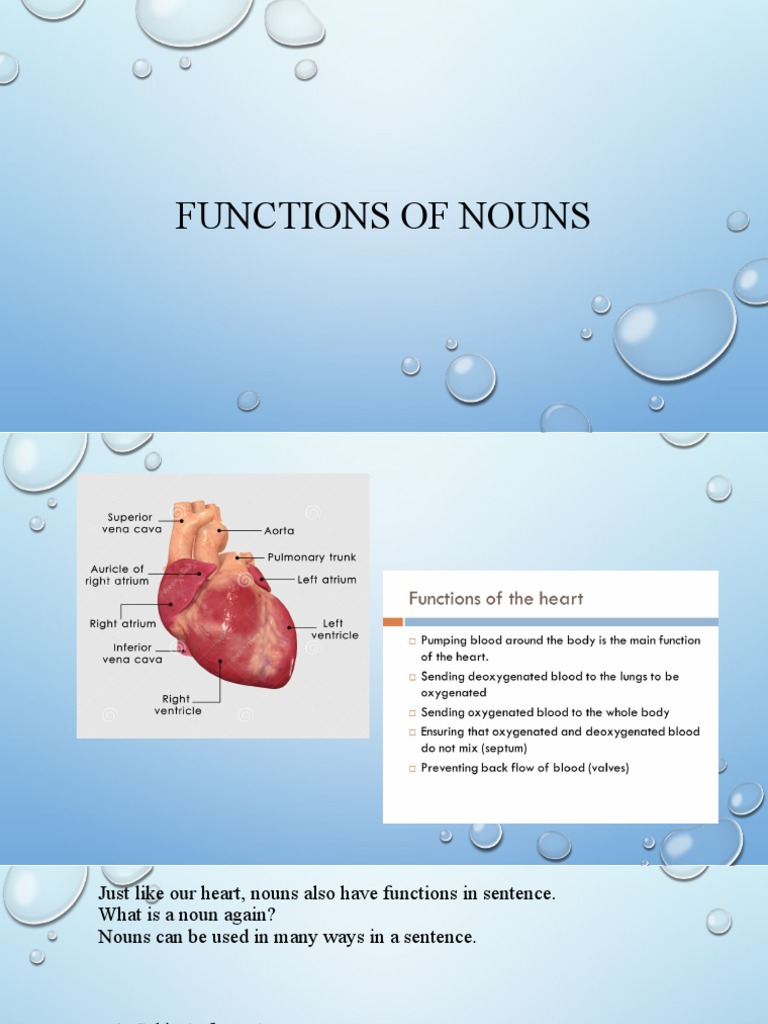 Functions of Nouns Explained | PDF | Object (Grammar) | Verb
