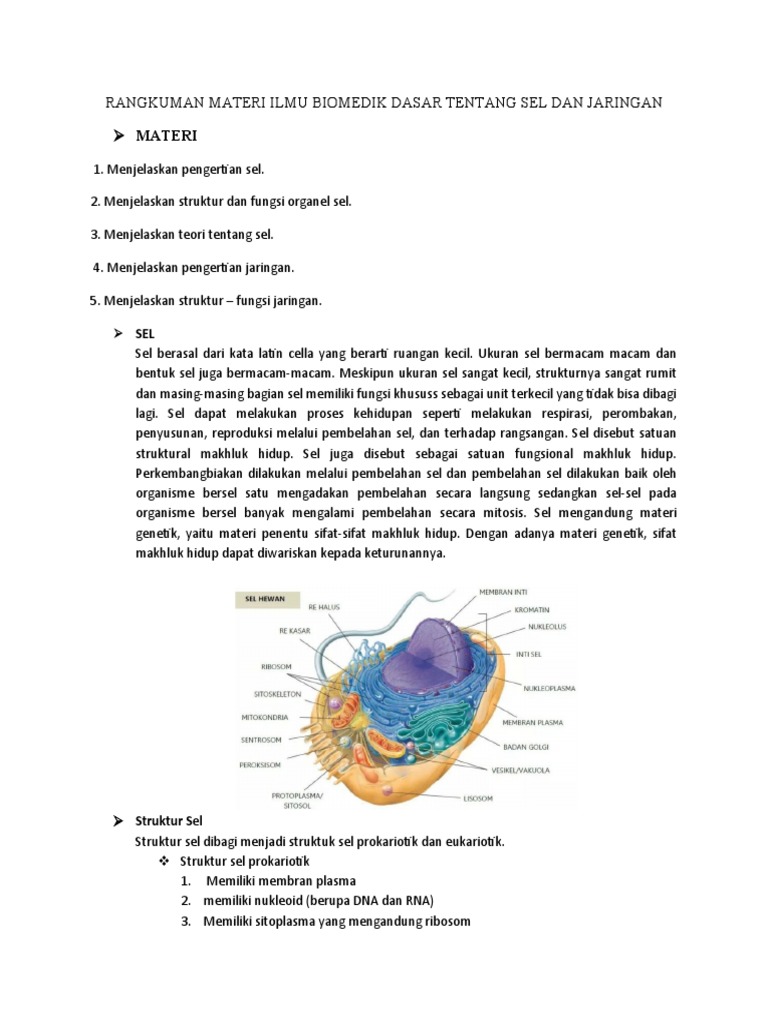 Rangkuman Materi Ilmu Biomedik Dasar Tentang Sel Dan Jaringan | PDF