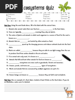 3rd Grade - Food Chain Worksheet | PDF