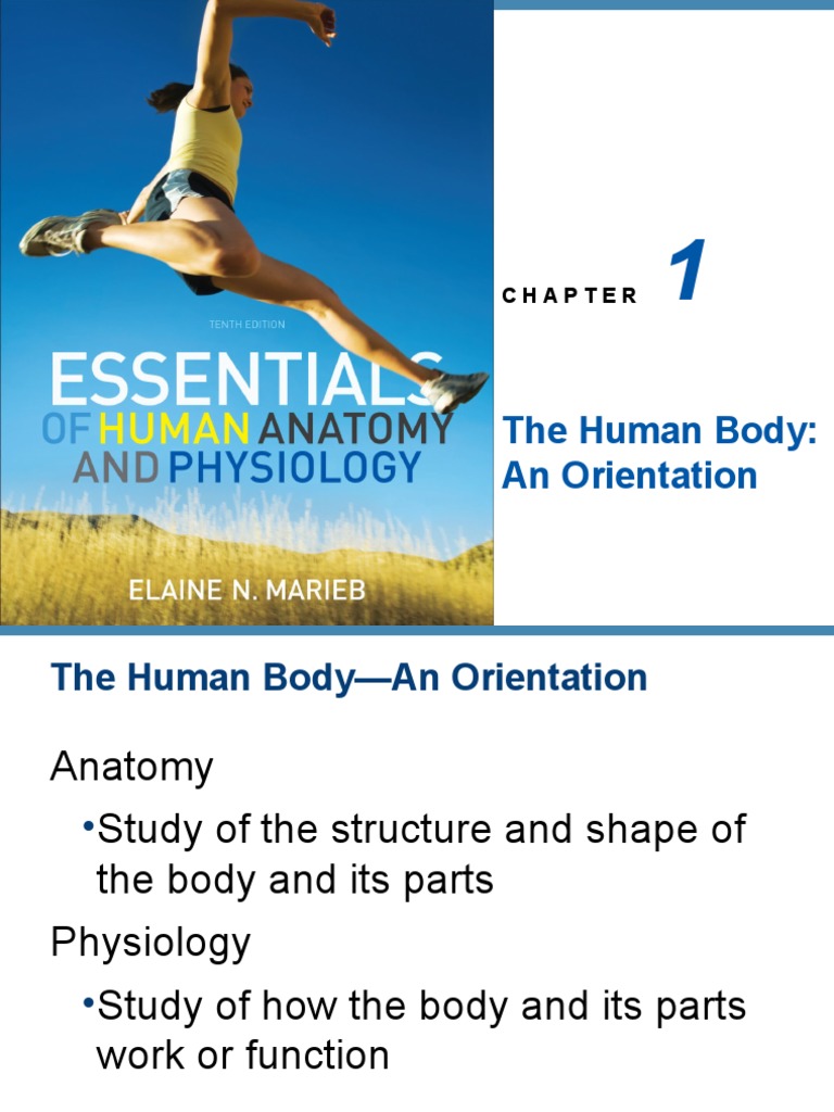 The Human Body: An Orientation: © 2012 Pearson Education, Inc | PDF ...