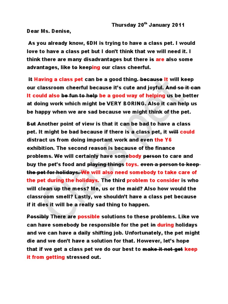 DK Persuasive letter for class pet