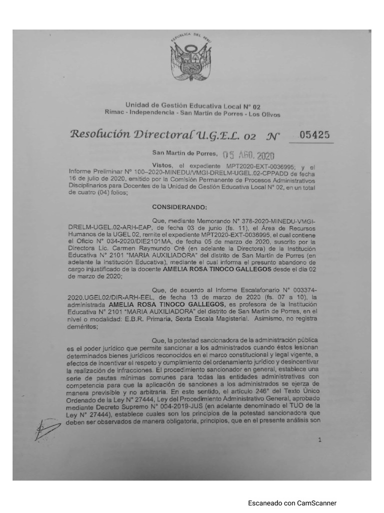 Resolución - Amelia Tinoco Gallegos PDF | PDF