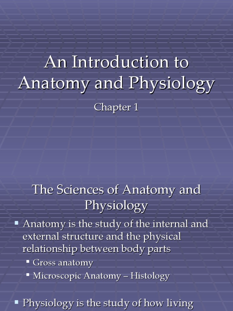Chapter 1 Intro To Anatomy Pdf