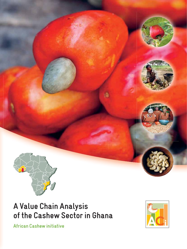 A Value Chain Analysis of The Cashew Sector in Ghana | PDF | Tariff ...