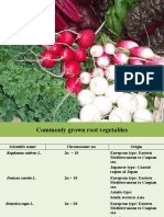 Carrots | PDF | Carrot | Agriculture