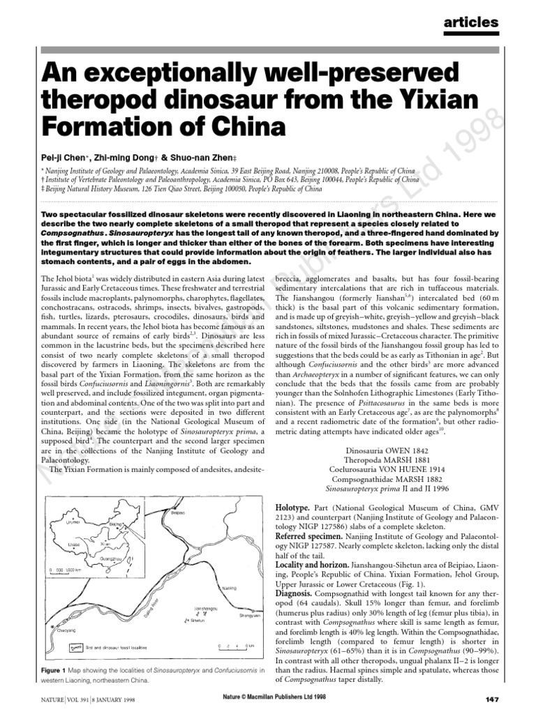 An Exceptionally Well-Preserved Theropod Dinosaur From The Yixian ...
