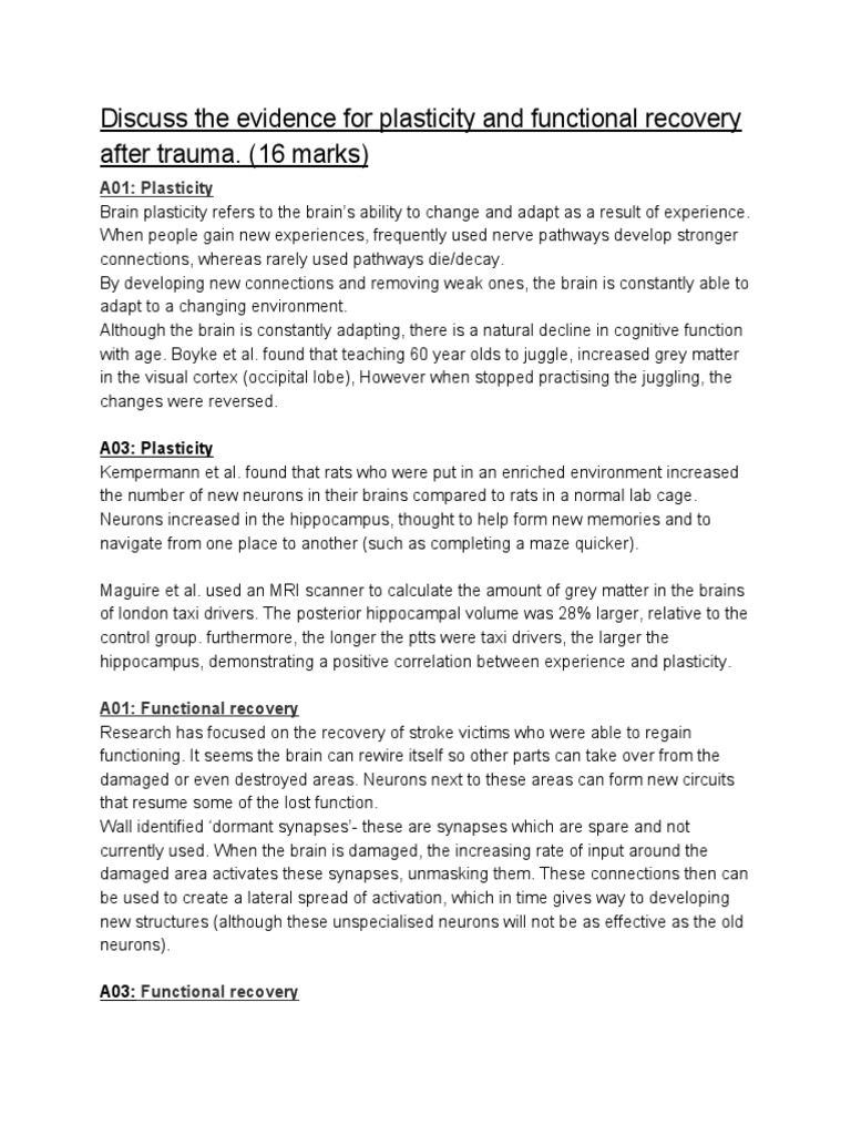 Discuss The Evidence For Plasticity and Functional Recovery After ...