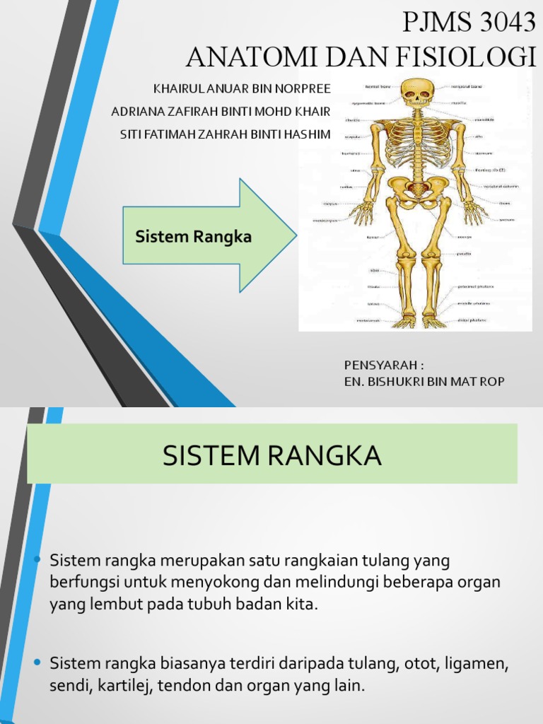 Sistem Rangka | PDF
