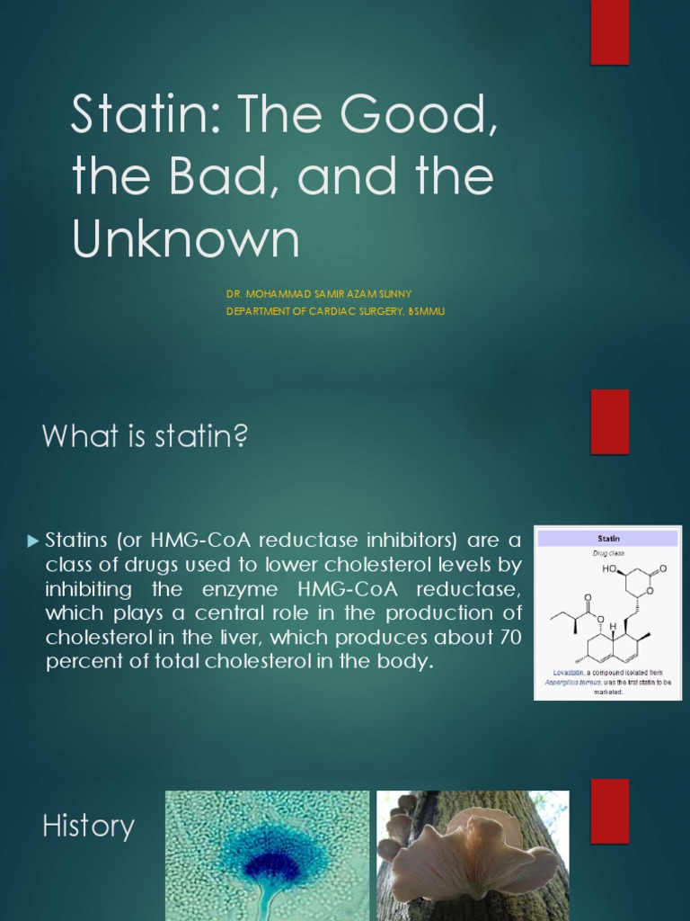 Statin 150324032853 Conversion Gate01 | PDF | Statin | Coronary Artery ...