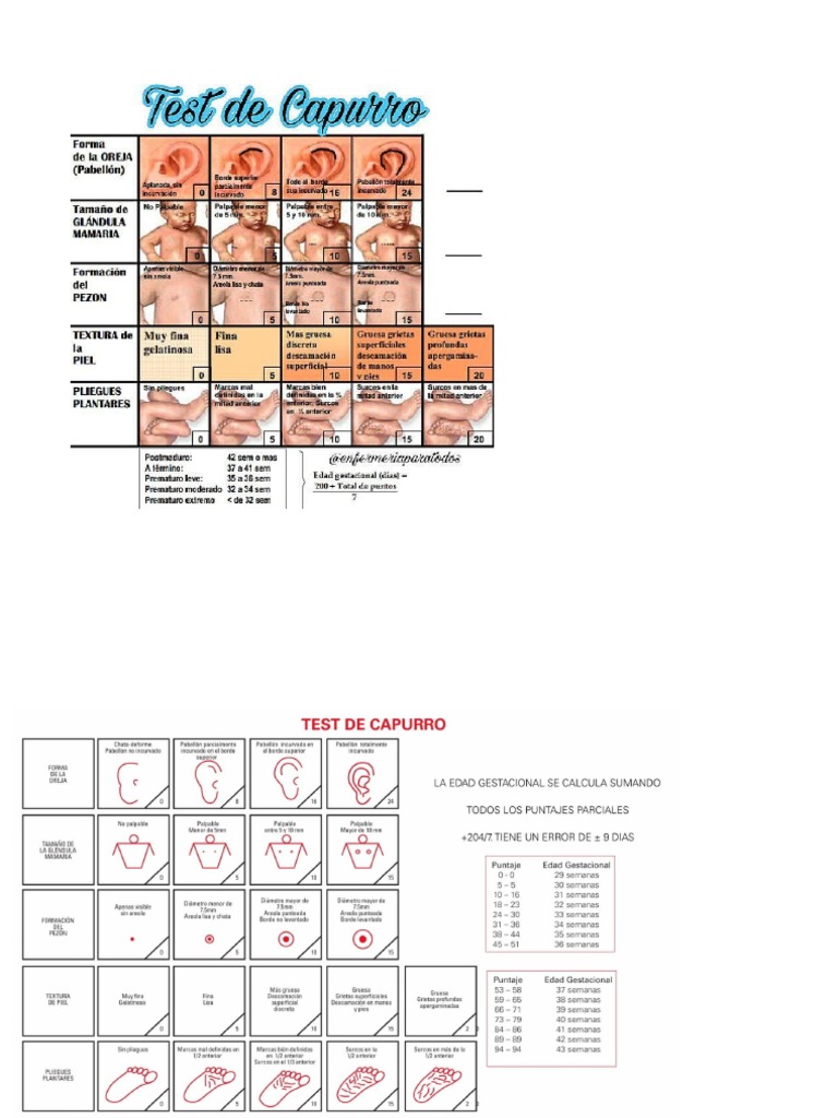 Test de Capurro | PDF