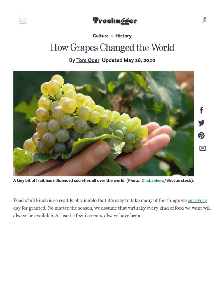 How Grapes Changed The World | PDF | Wine | Grape