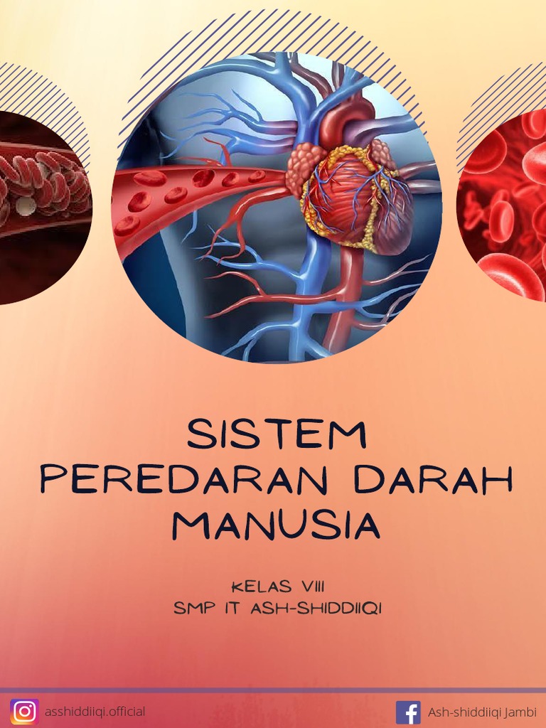 Modul Sistem Peredaran Darah Manusia PDF | PDF