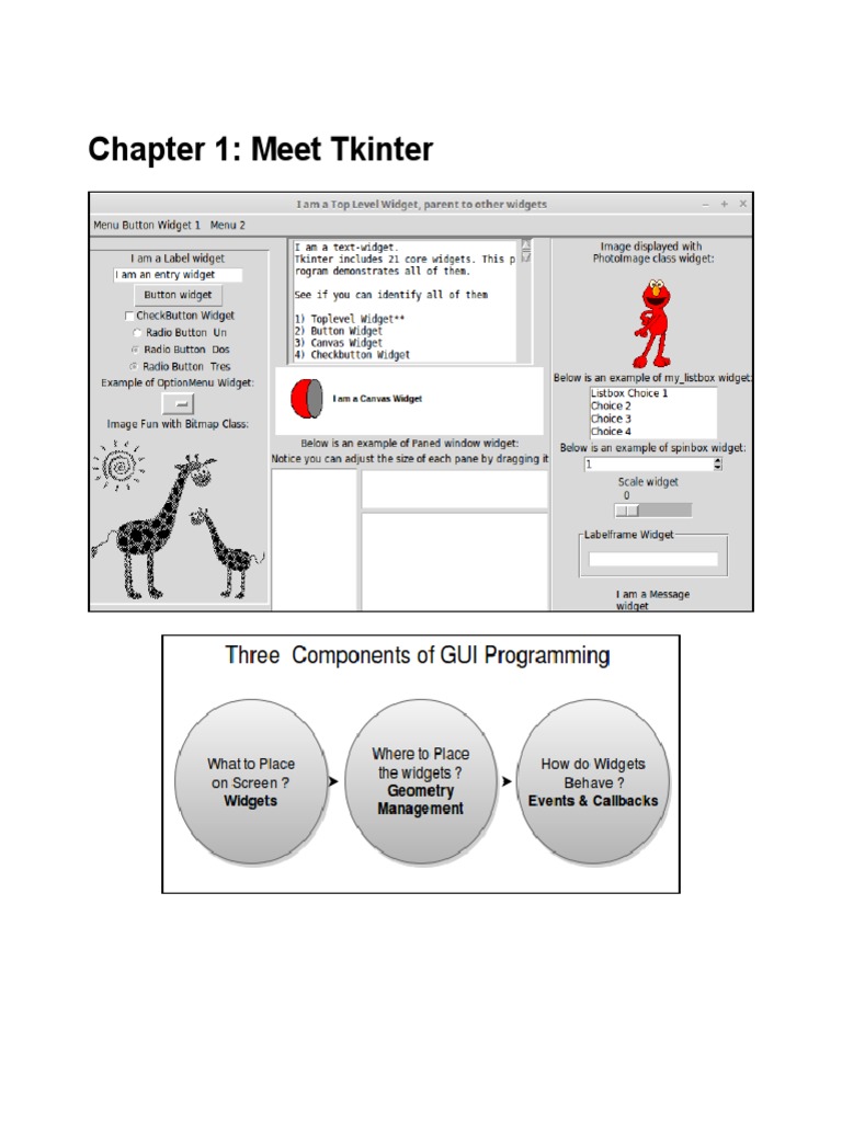 Chapter 1: Meet Tkinter | PDF