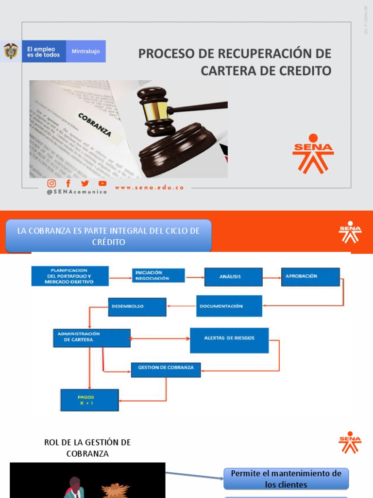 Presentacion Proceso Recuperacion de Cartera | PDF | Cliente | Economias
