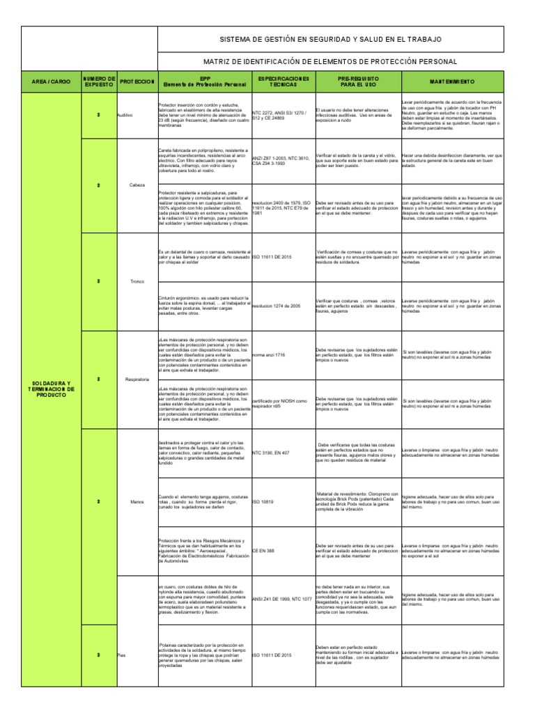 Formato Matriz EPP Proyecto Integrador (1) FINAL | PDF | Soldadura ...